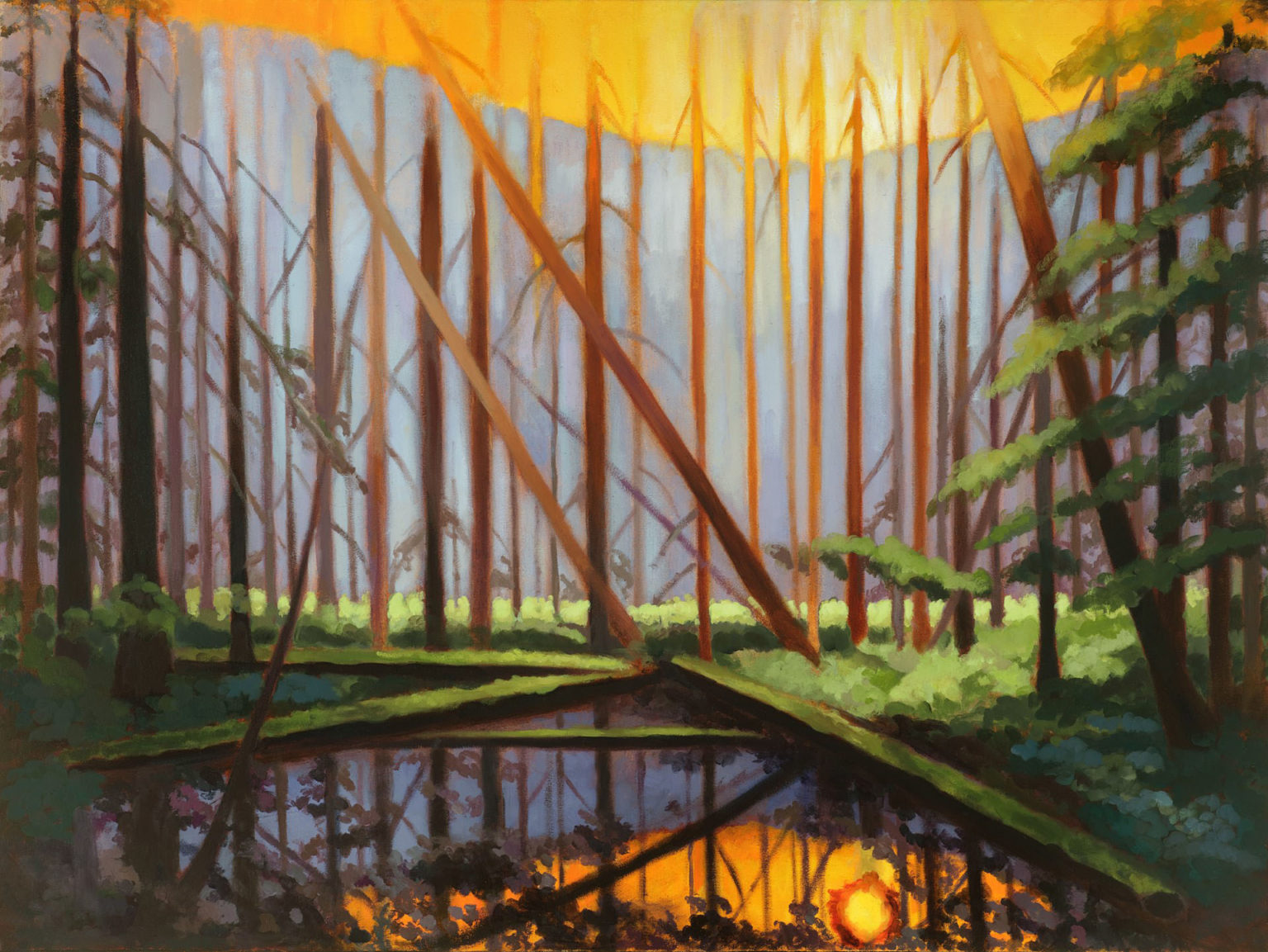 Gallery - West Coast Landscape Artist and Author of Towards Light ...