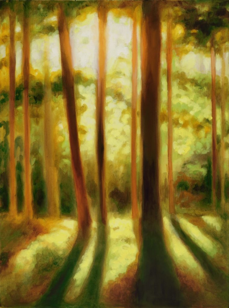 Gallery - Landscape Artist of British Columbia and Author of Towards Light